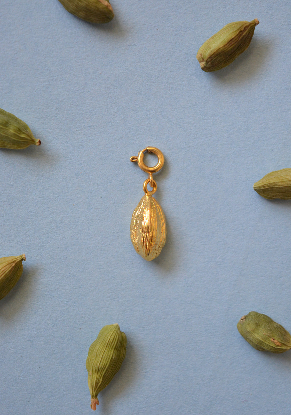 Cardamom Charm - Gold – Tangerine Bio Jewelry