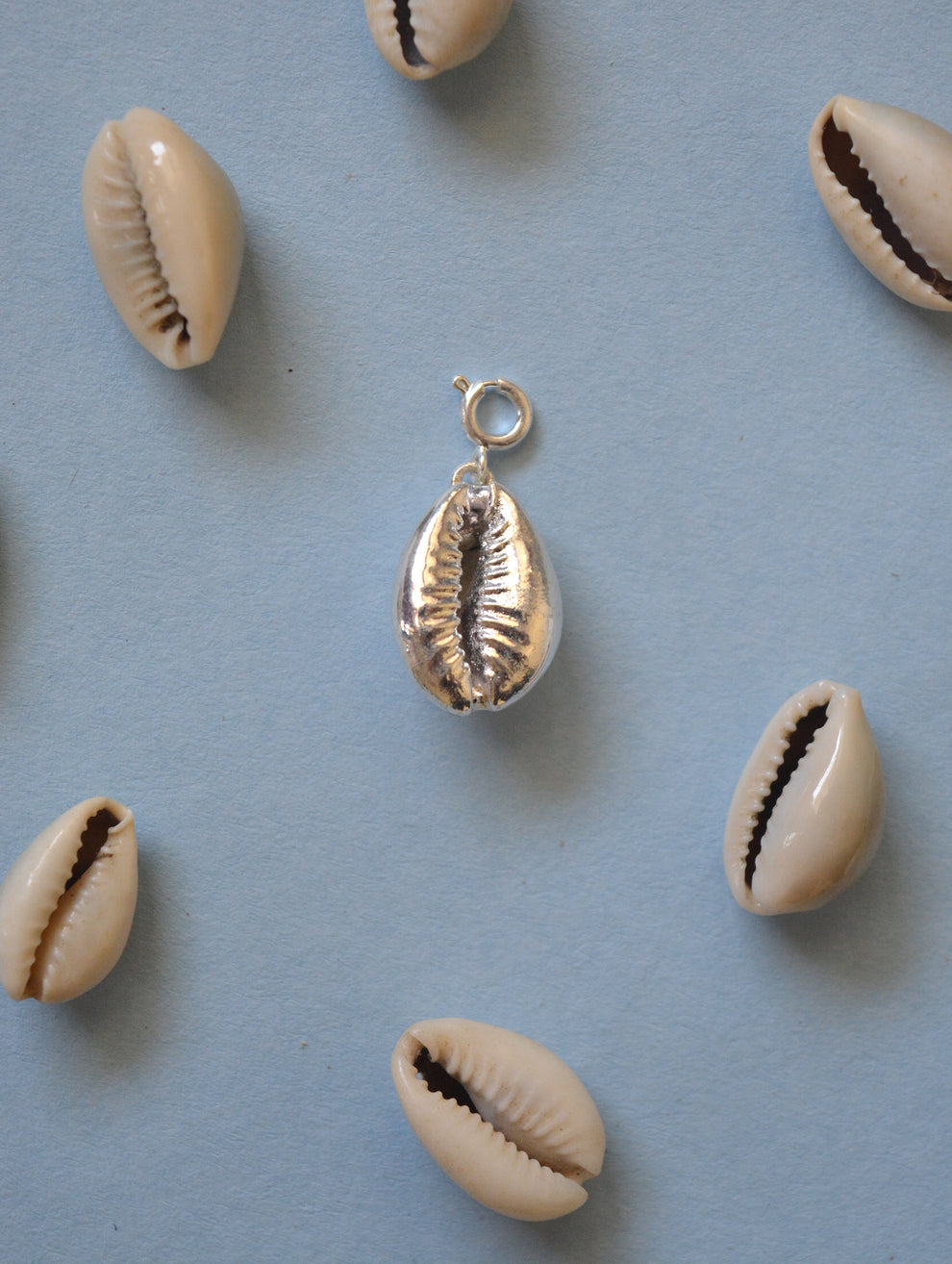 Cowrie Shell Charm - Silver – Tangerine Bio Jewelry